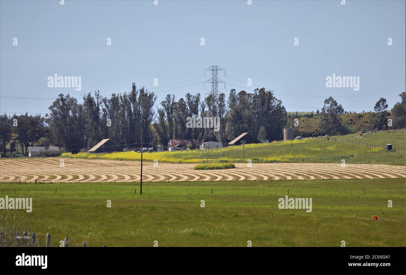 Los osos and california hi-res stock photography and images - Alamy