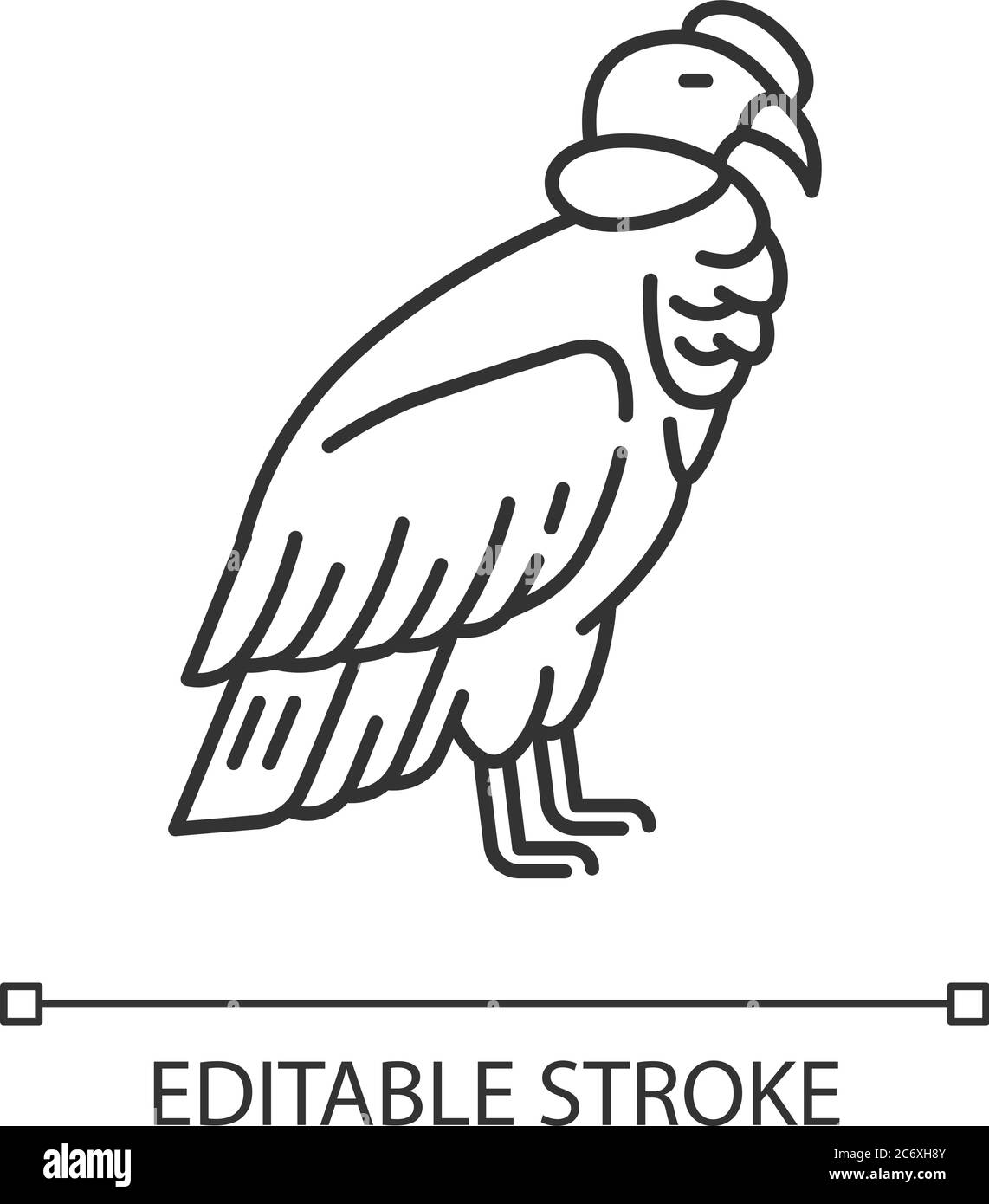 Condor pixel perfect linear icon. Predatory bird. Zoology, ornithology ...