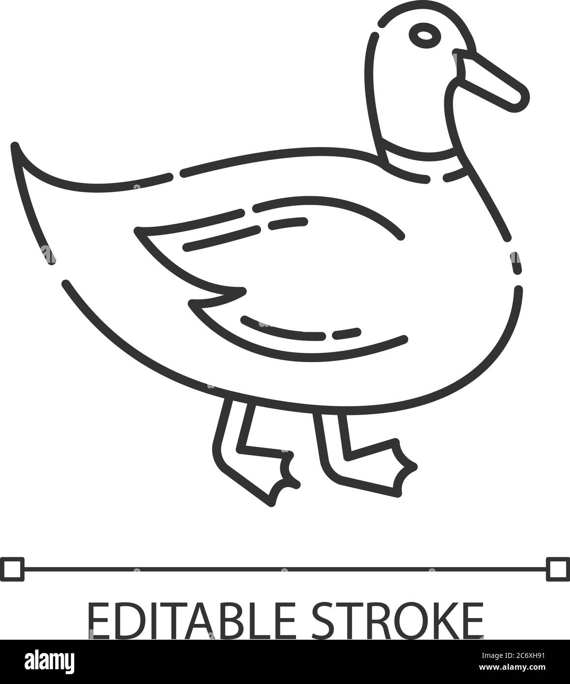 Common breeding bird Stock Vector Images - Alamy