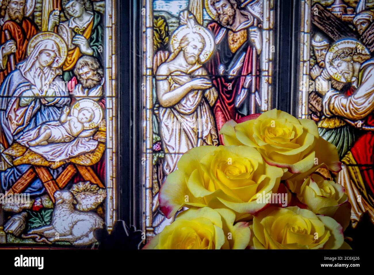 Yellow Rose Bouquet and Vinyl Stained Glass Background Stock Photo - Alamy