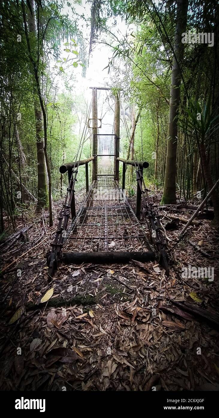 Suspended pathway hi-res stock photography and images - Alamy