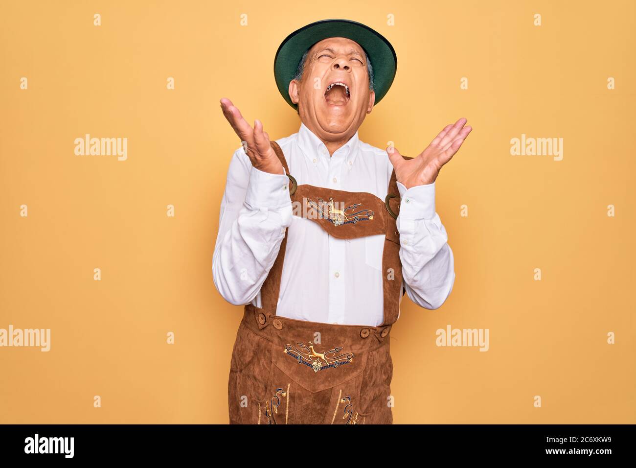 Senior grey-haired man wearing german traditional octoberfest suit over ...