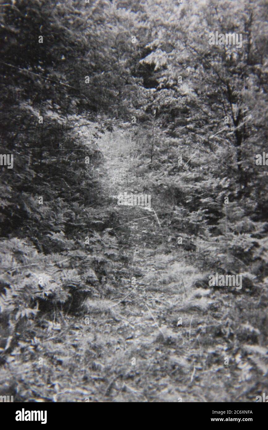Fine 70s vintage black and white lifestyle photography of a faint path ...