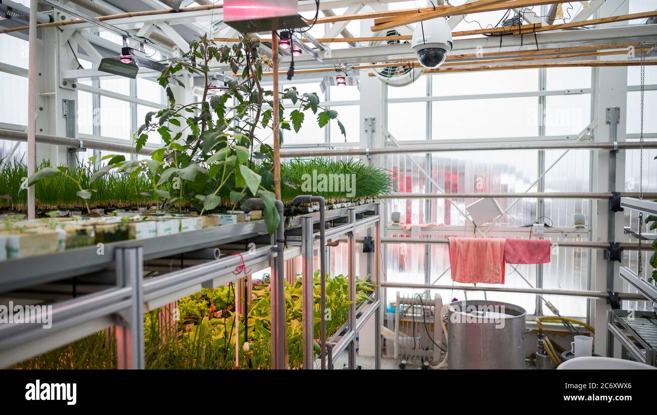 --FILE--Crops are grown to eat at the Great Wall Station, the first ...