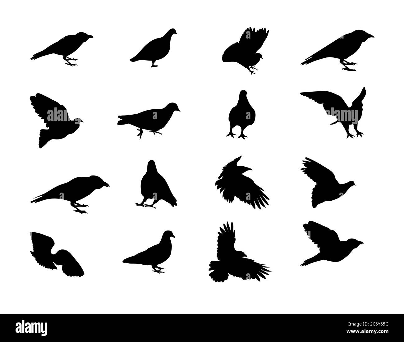 Black and white silhouette dove crow isolated. Vector Illustration ...