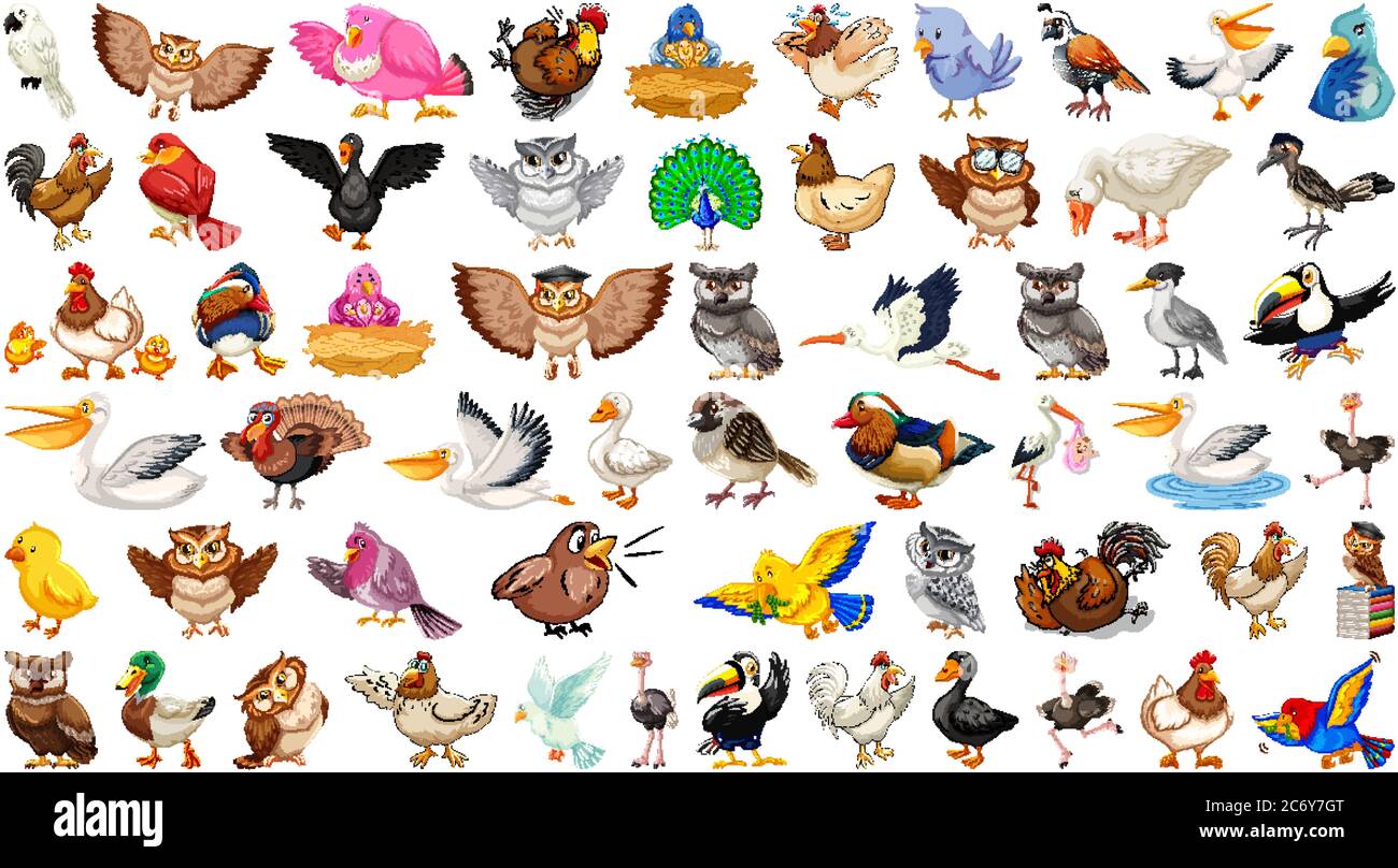 Set of different birds cartoon style isolated on white background ...