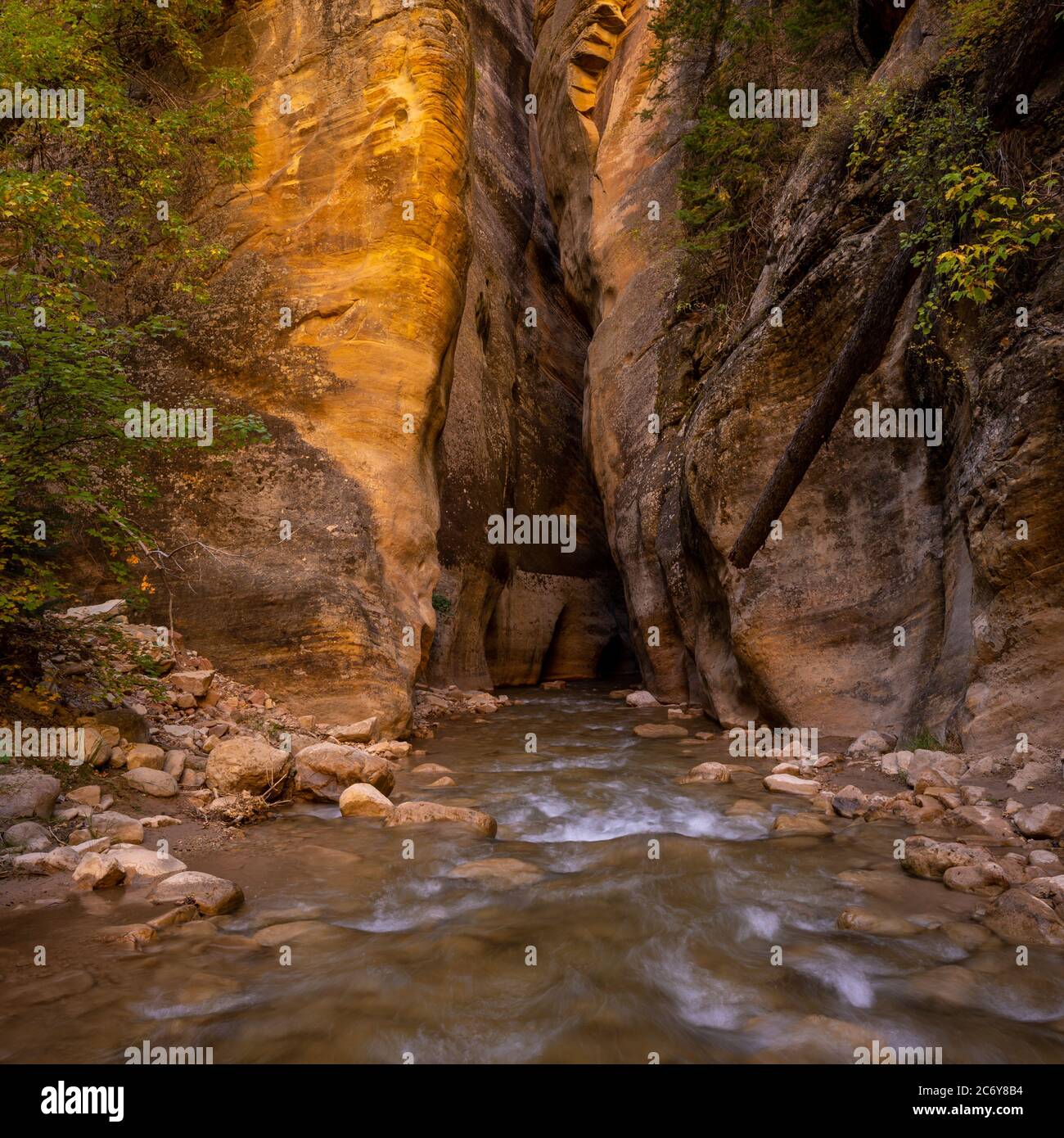 Small Rapid Before Entering Slot Canyon of Zion Narrows Stock Photo - Alamy