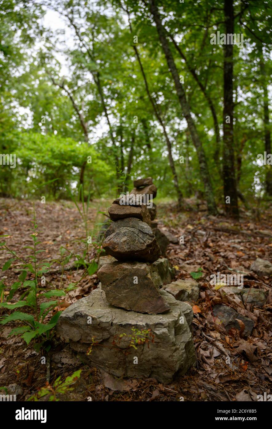 Small Cairn and Dried Leaves in Forest of Hot Springs National Park ...