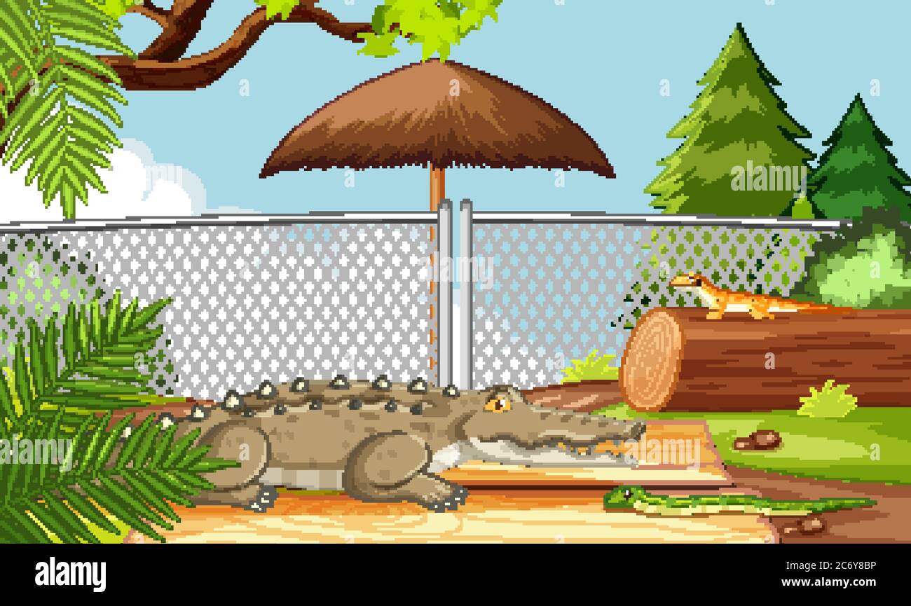 Alligator in the zoo scene illustration Stock Vector Image & Art - Alamy