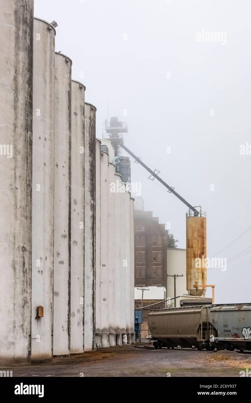 Grain silos of the Hansen Mueller Grain Co. on the gritty waterfront of ...