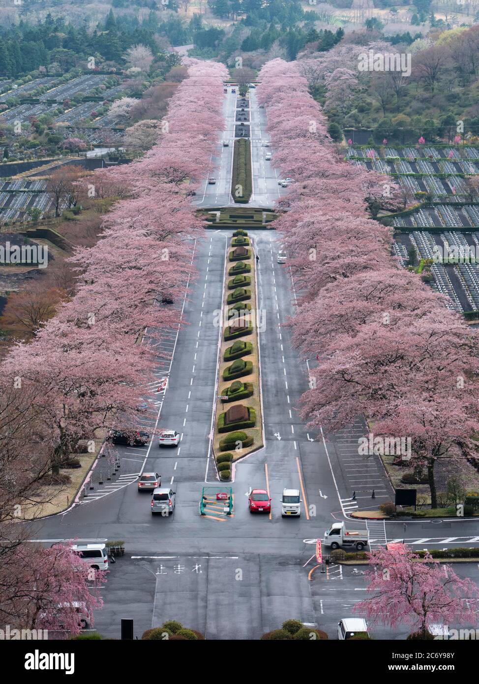 Wet tree lined street hi-res stock photography and images - Alamy
