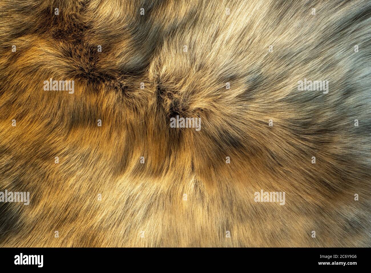 Brown and white fur The hairs are smooth and have a beautiful pattern ...