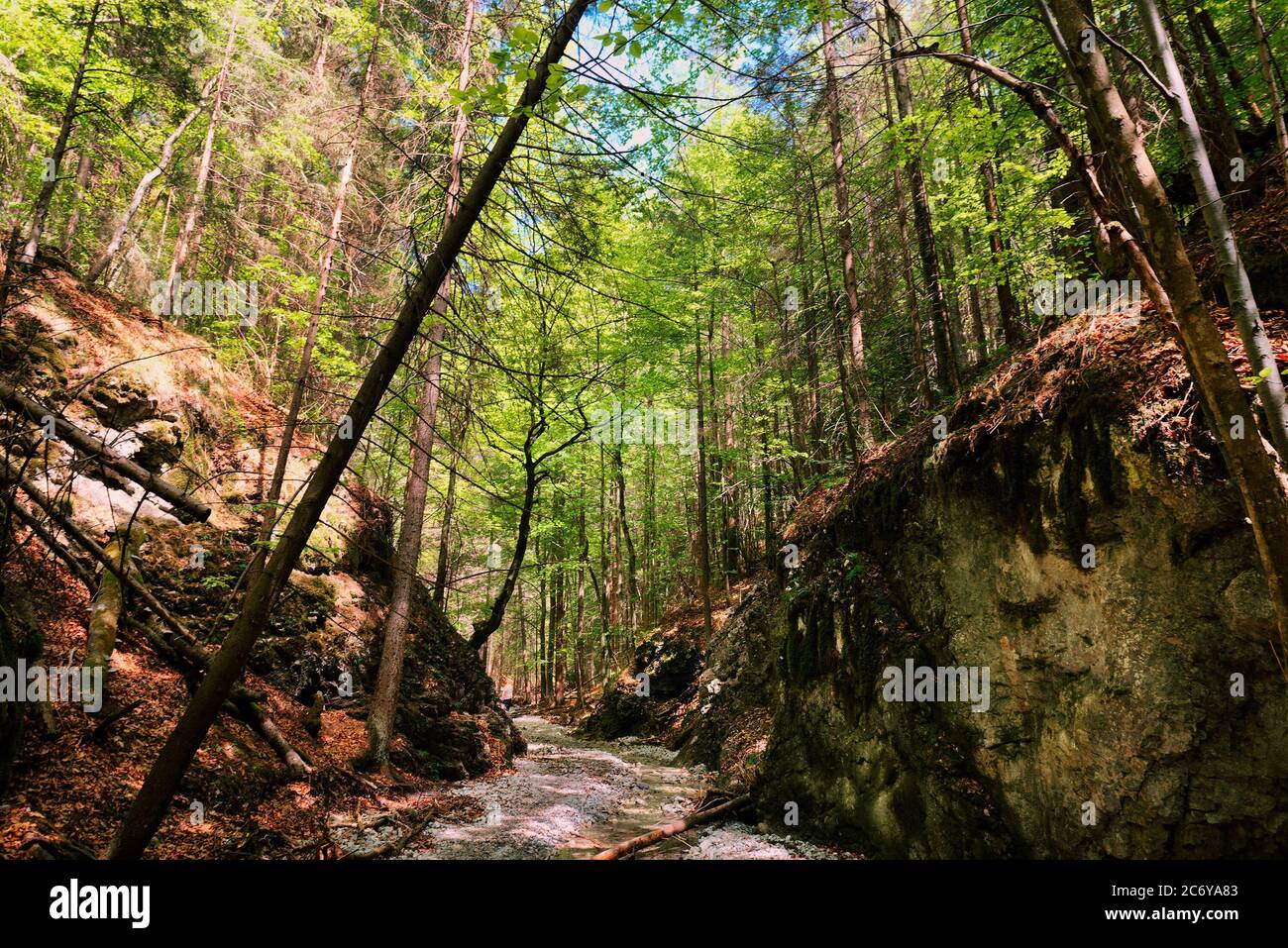 Slovensky raj hi-res stock photography and images - Alamy