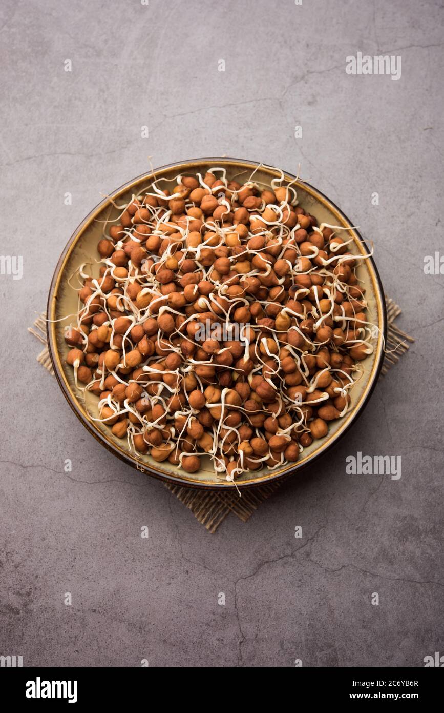 Grain sprouted gram chana hi-res stock photography and images - Alamy