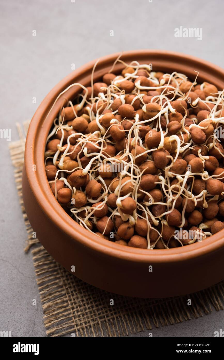 Grain sprouted gram chana hi-res stock photography and images - Alamy