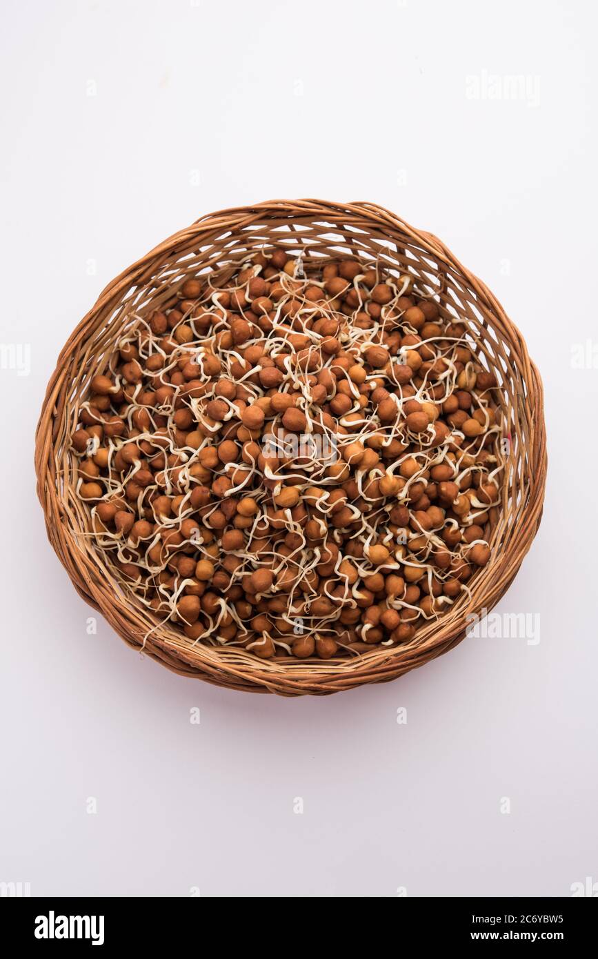 Grain sprouted gram chana hi-res stock photography and images - Alamy