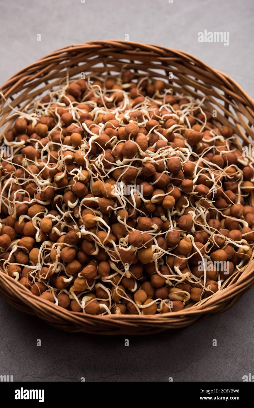 Grain sprouted gram chana hi-res stock photography and images - Alamy
