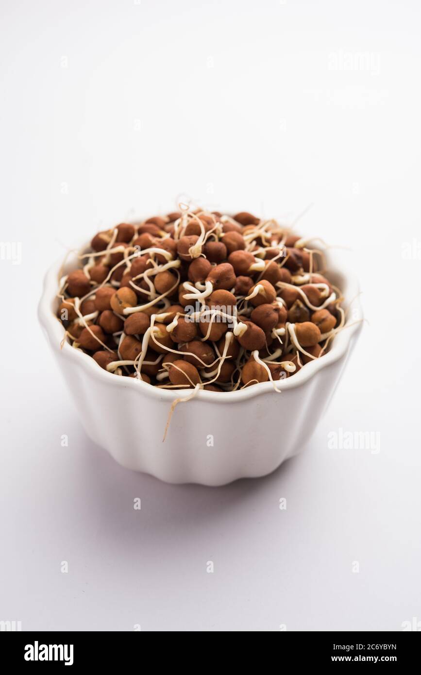 Grain sprouted gram chana hi-res stock photography and images - Alamy