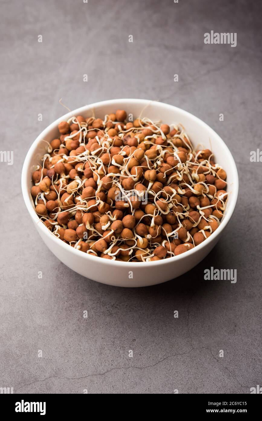 Grain sprouted gram chana hi-res stock photography and images - Alamy