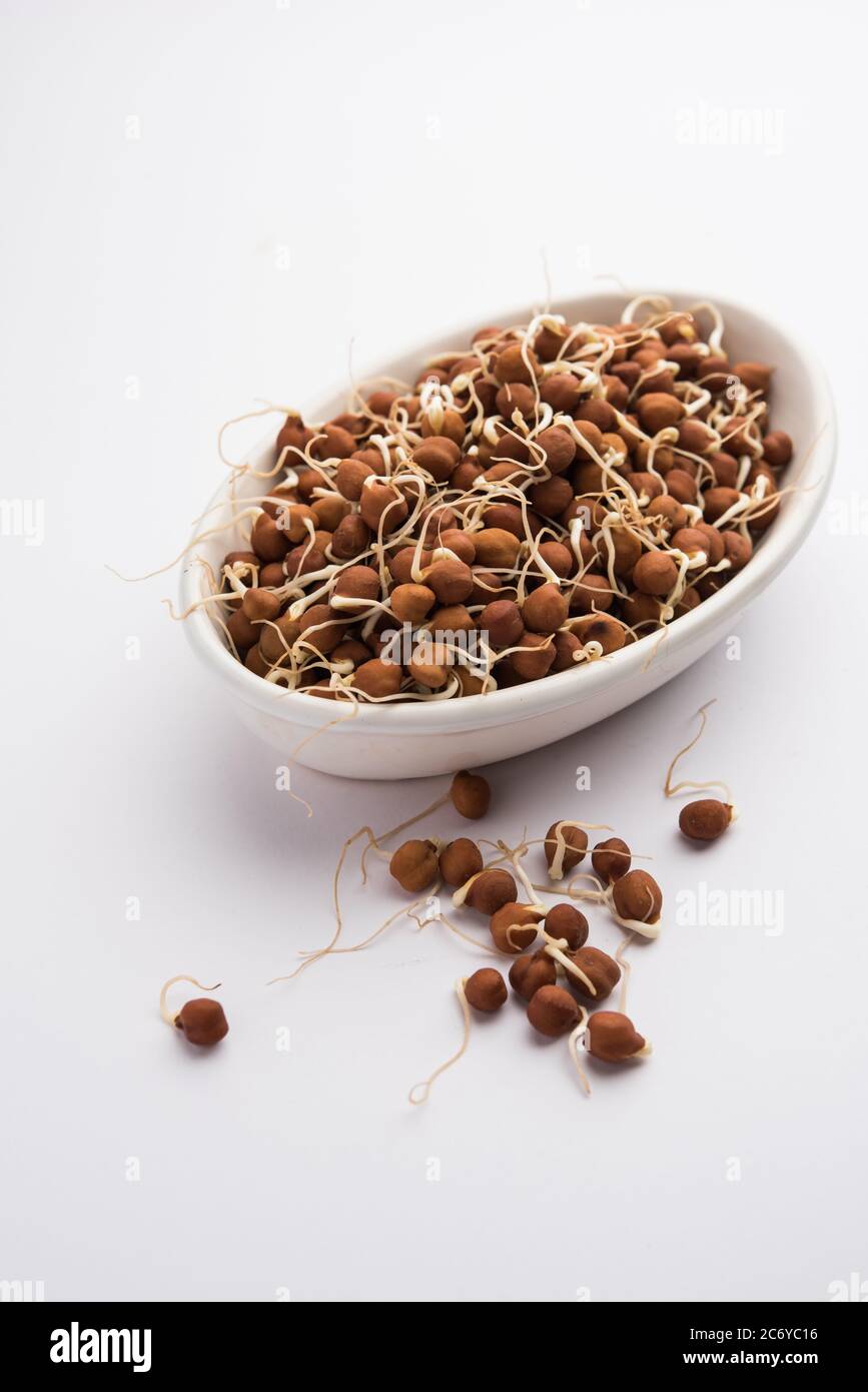 Grain sprouted gram chana hi-res stock photography and images - Alamy