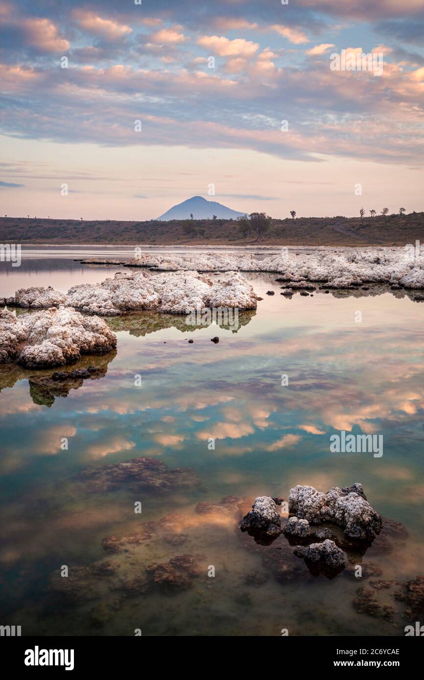 Saline soda rock formations in Alchichica Lake, Puebla, Mexico Stock ...