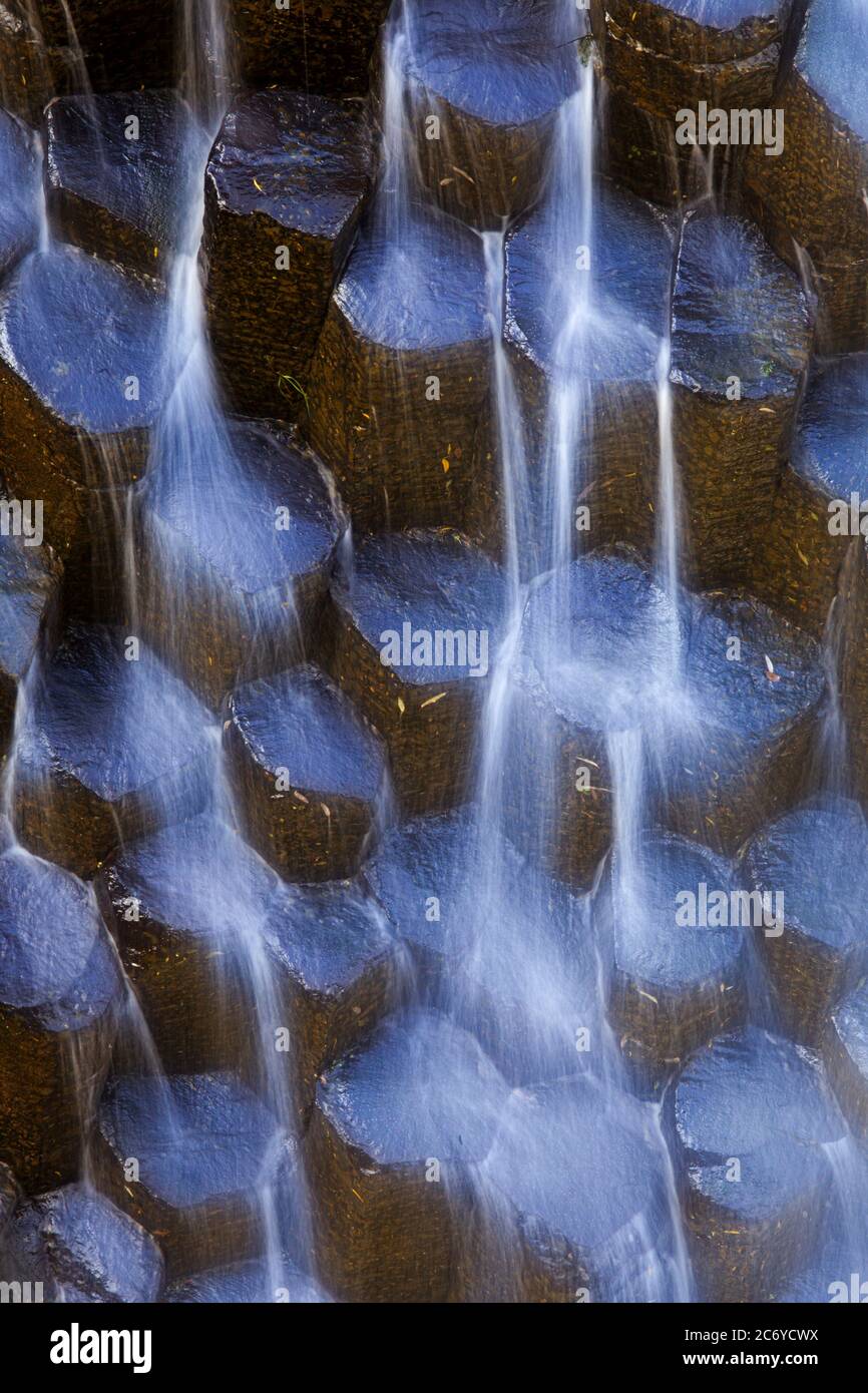 Natural forms hi-res stock photography and images - Alamy