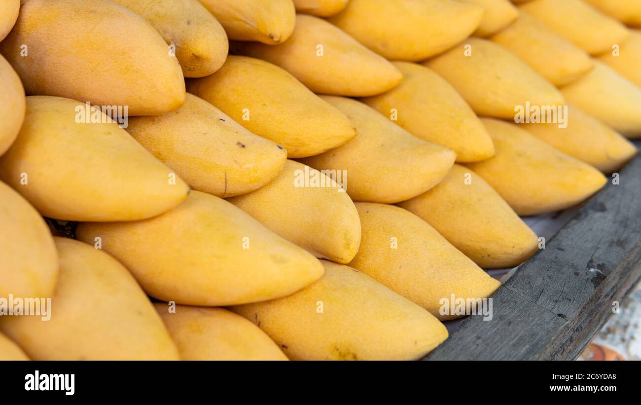 selling fresh mangoes in a market in Asia. Mango is the most popular ...