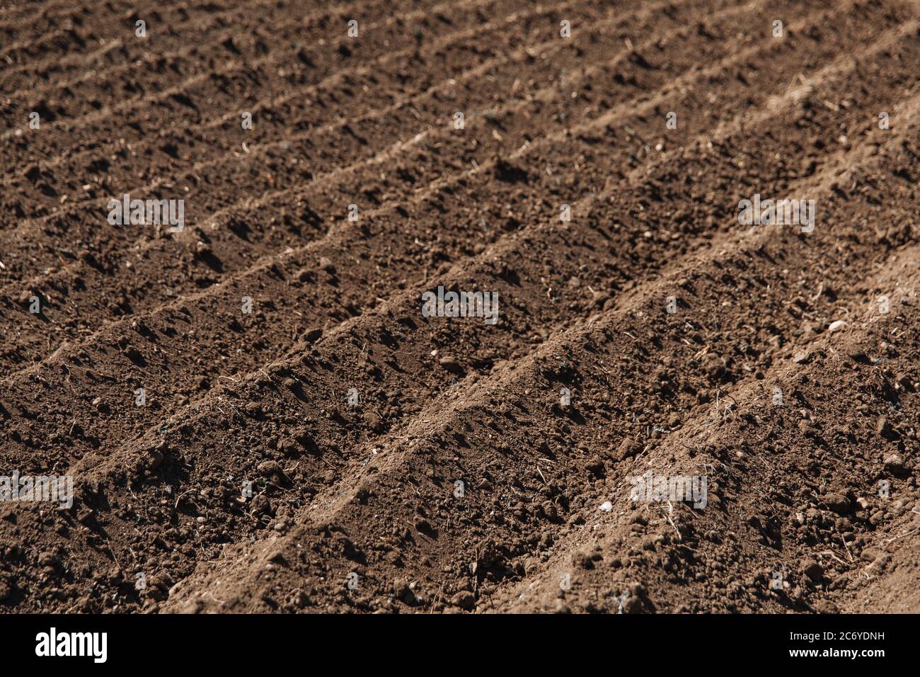 Land texture hi-res stock photography and images - Alamy