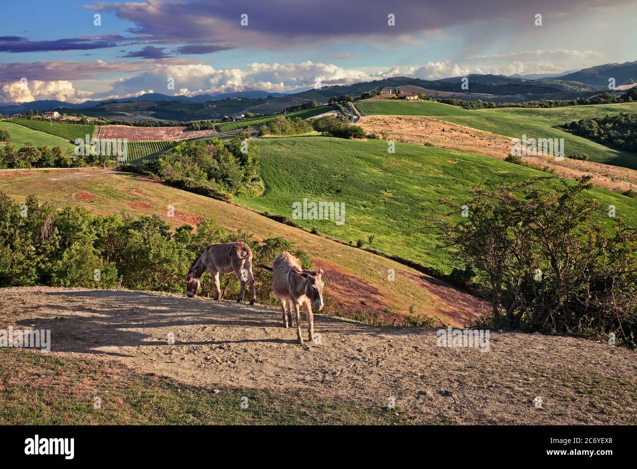 Emilia romagna landscape hi-res stock photography and images - Alamy