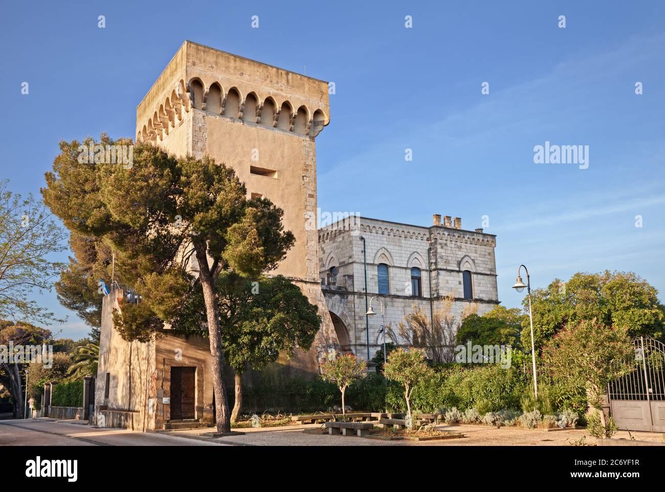 Pine defense system hi-res stock photography and images - Alamy