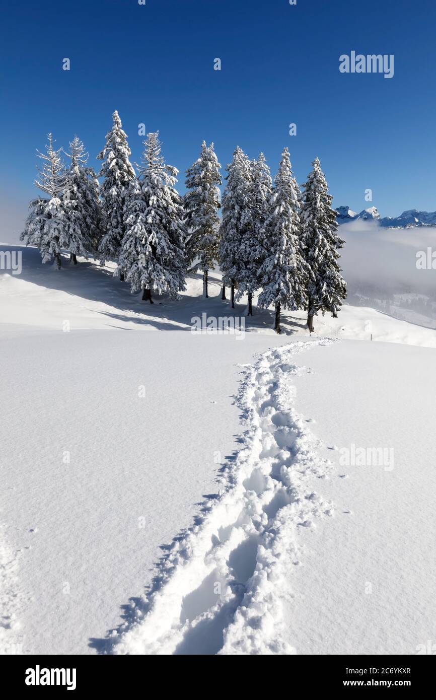 Rotenflue hi-res stock photography and images - Alamy