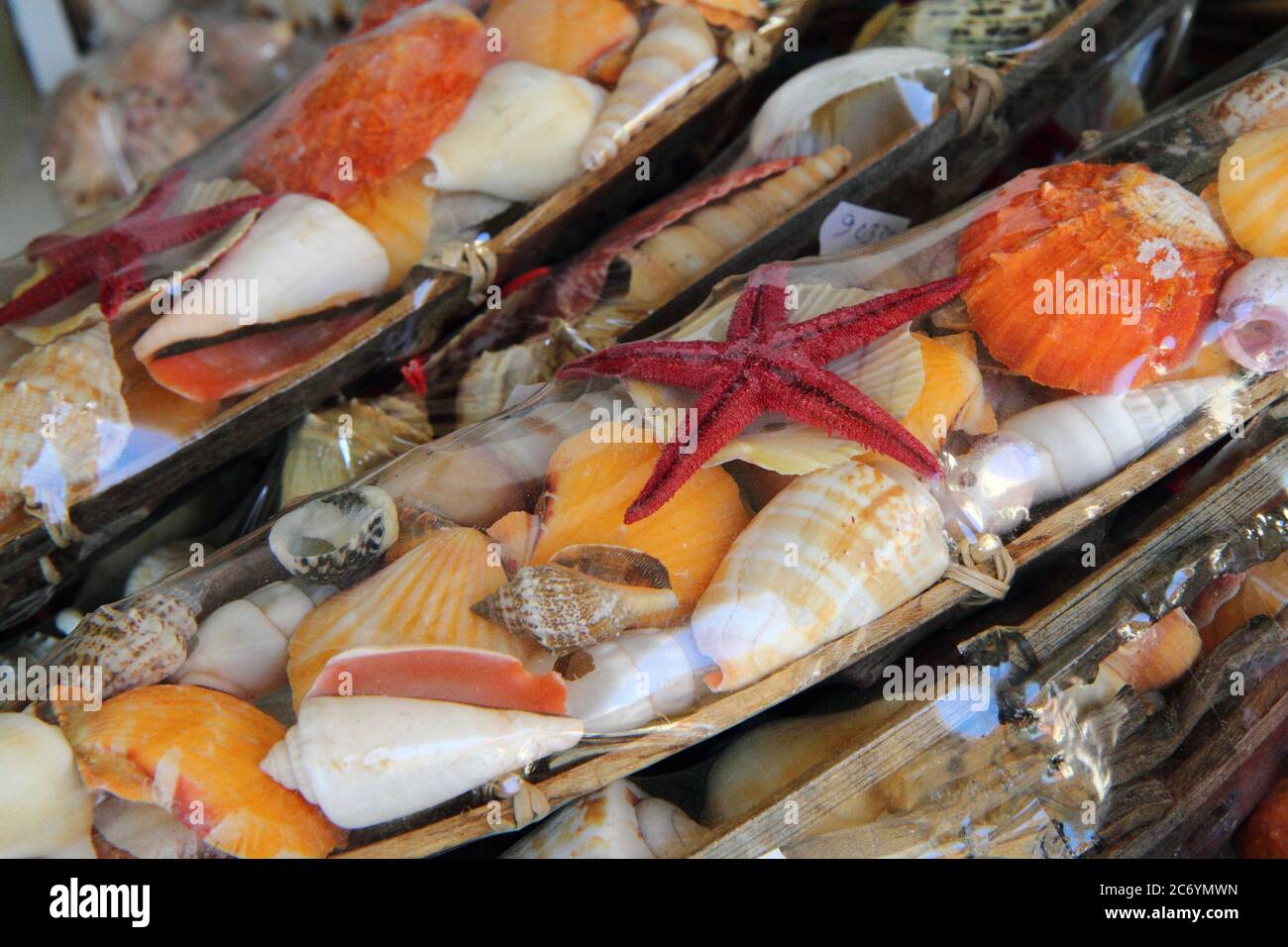 Red starfish greece hi-res stock photography and images - Alamy