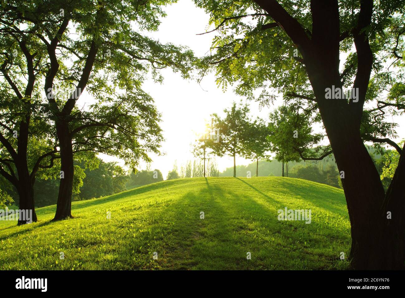 Early morning sun light cast hi-res stock photography and images - Alamy