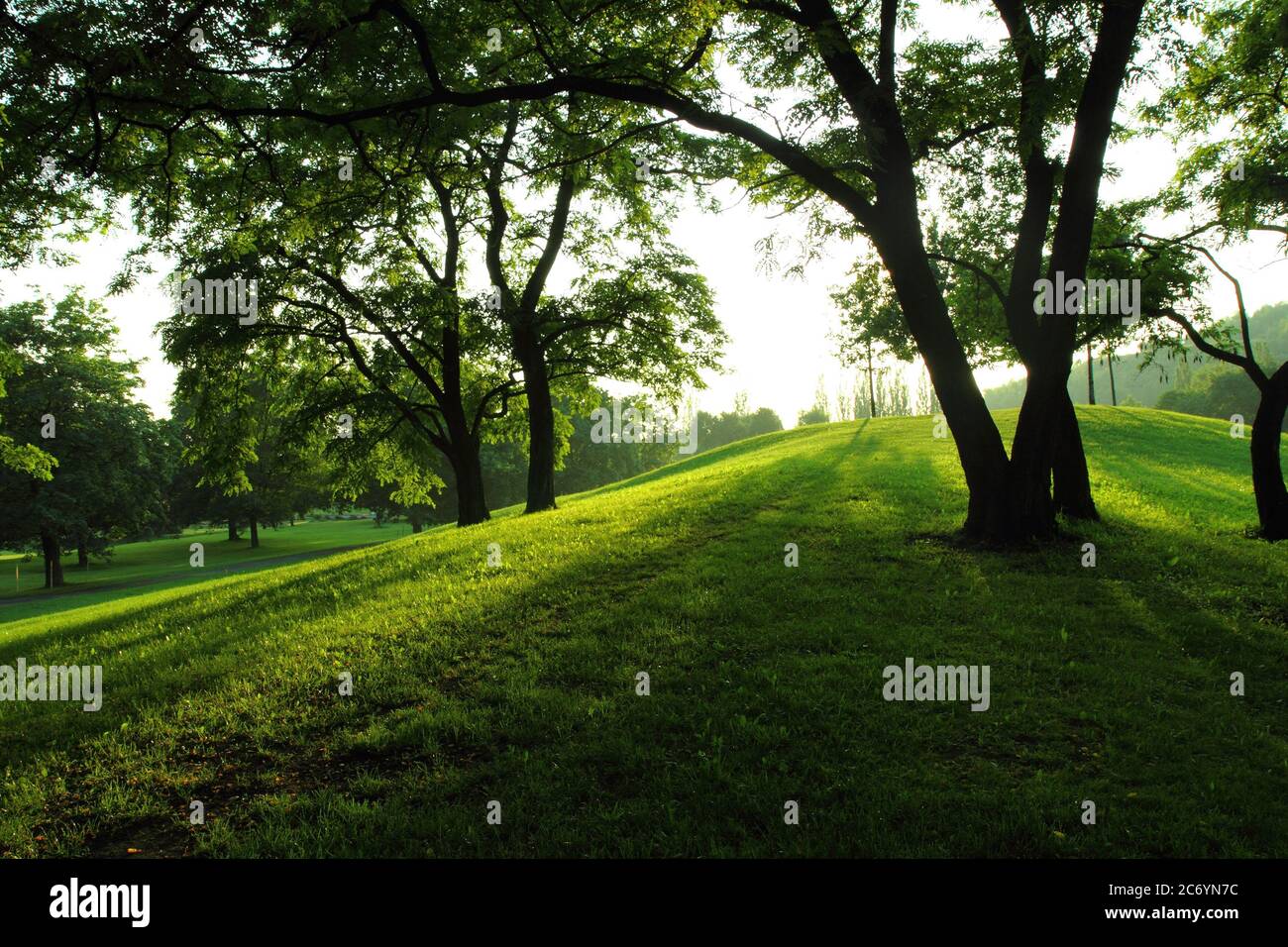 Early morning sun light cast hi-res stock photography and images - Alamy