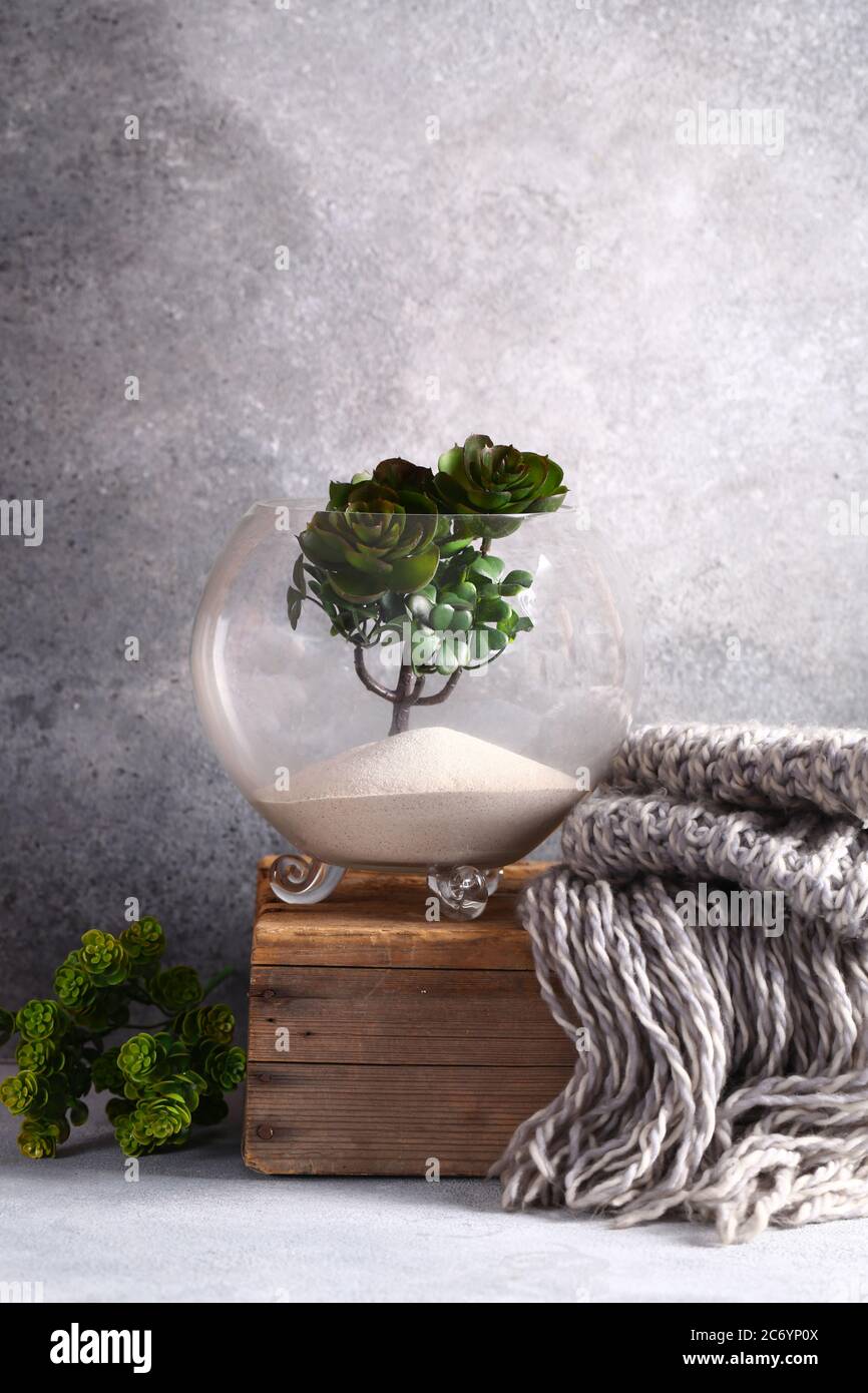 interior design with lively florarium for coziness Stock Photo - Alamy