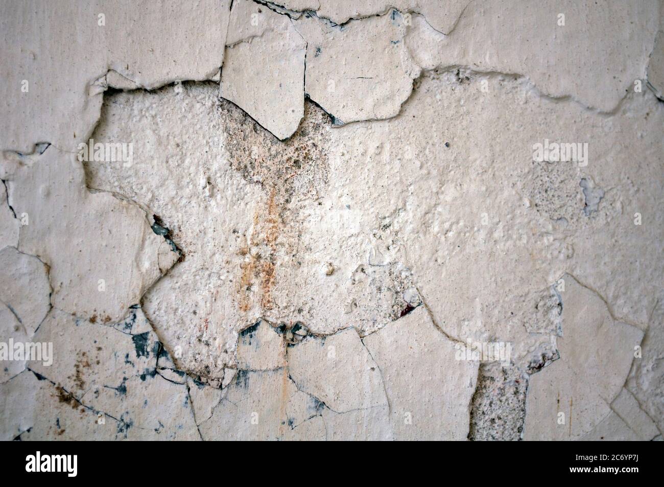 Destroid polished white plaster. Old plaster was not removed from the ...