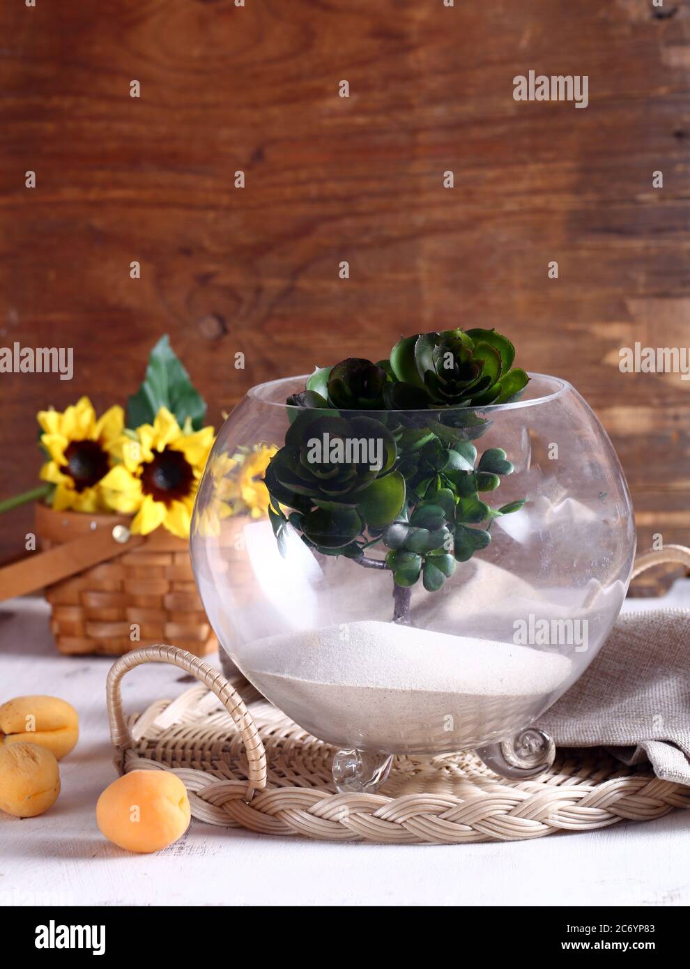interior design with lively florarium for coziness Stock Photo - Alamy