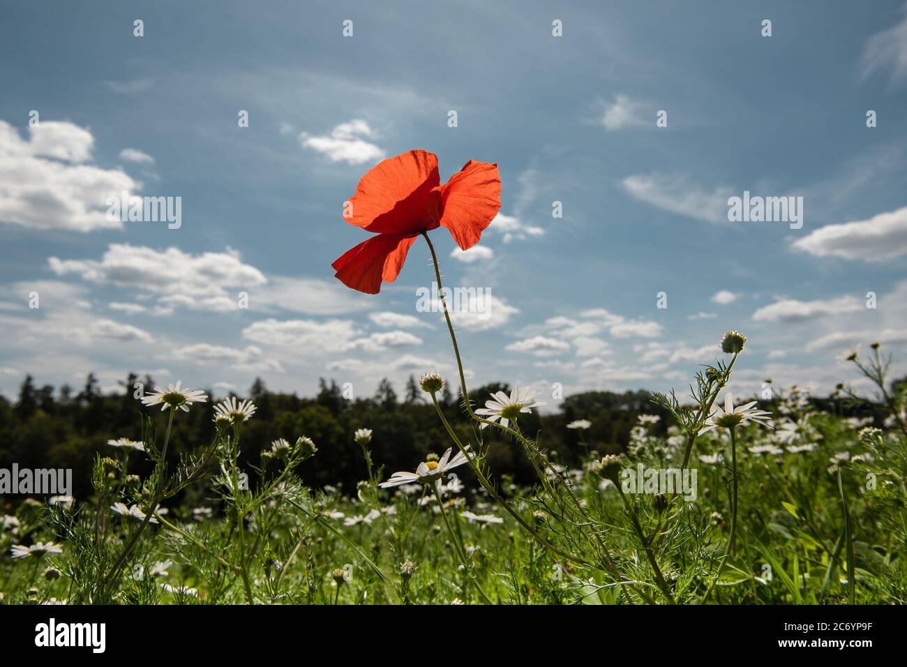 British background hi-res stock photography and images - Alamy