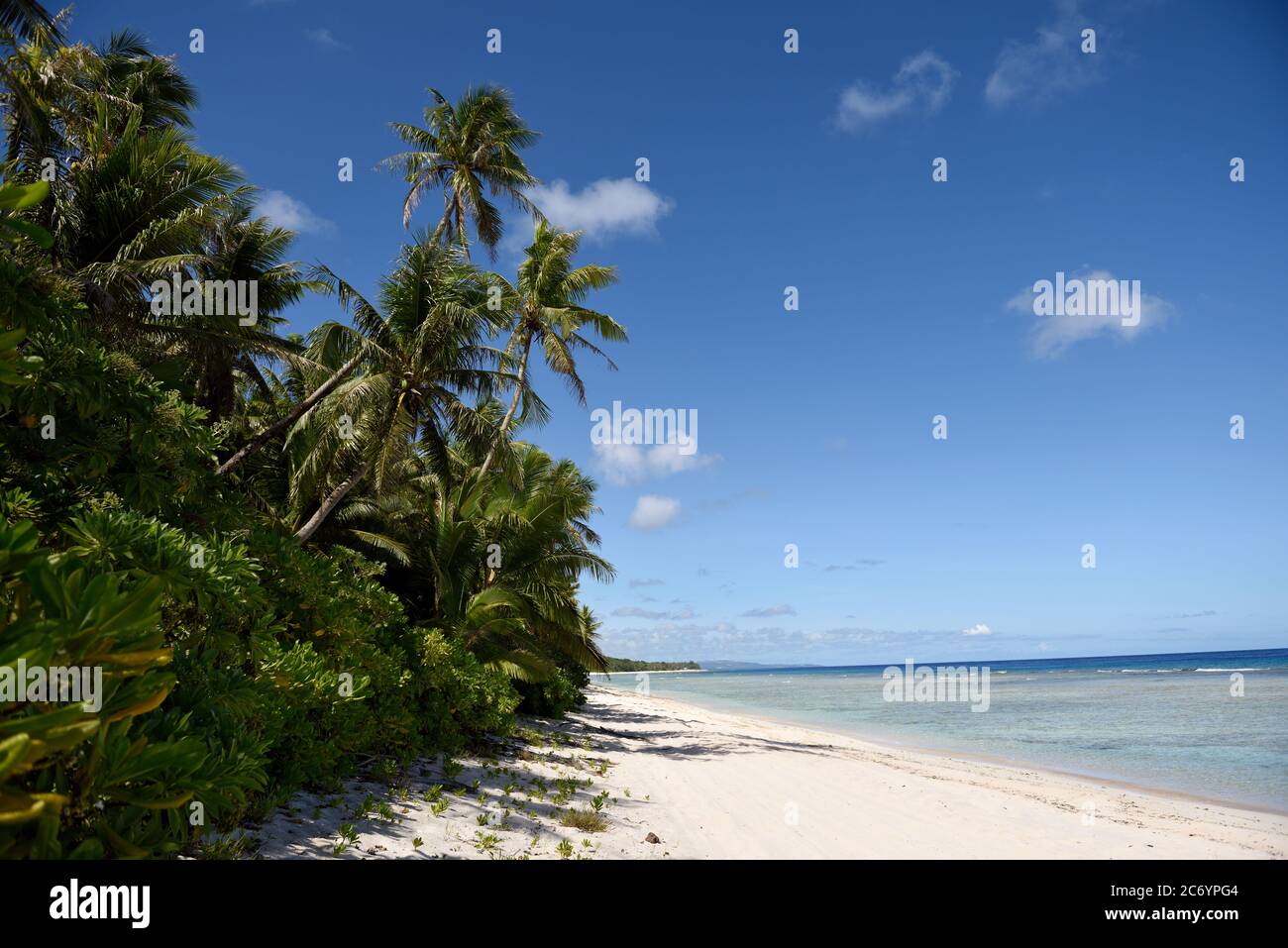 Deserted sunny tropical sandy beach with coconut trees and clear blue ...
