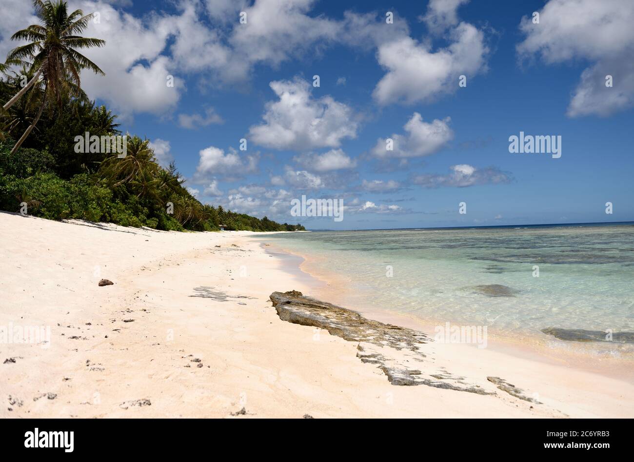 Deserted tropical Micronesian sandy beach with coconut trees and clear ...