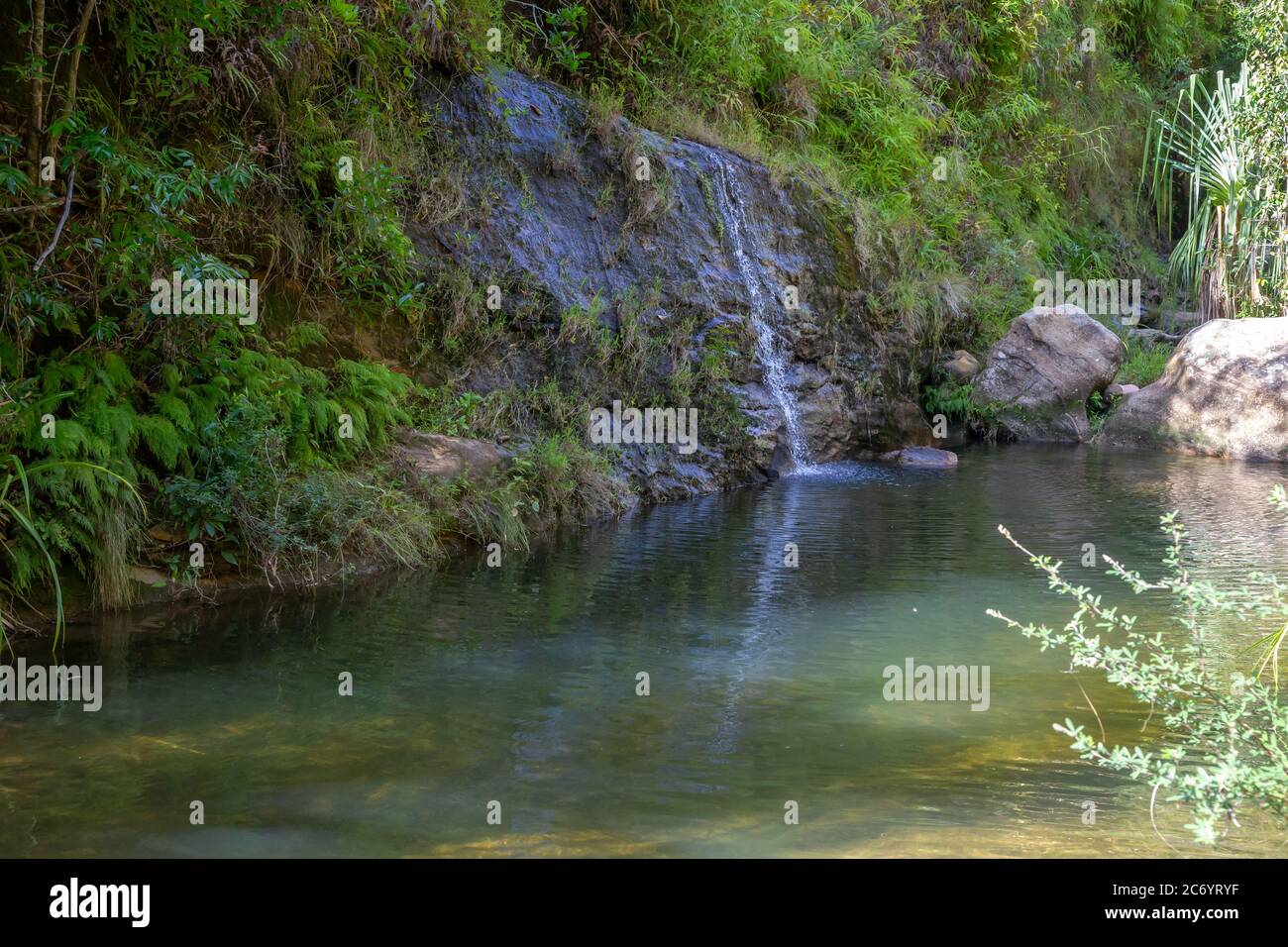 The lake with a small waterfall surrounded by many plants Stock Photo ...