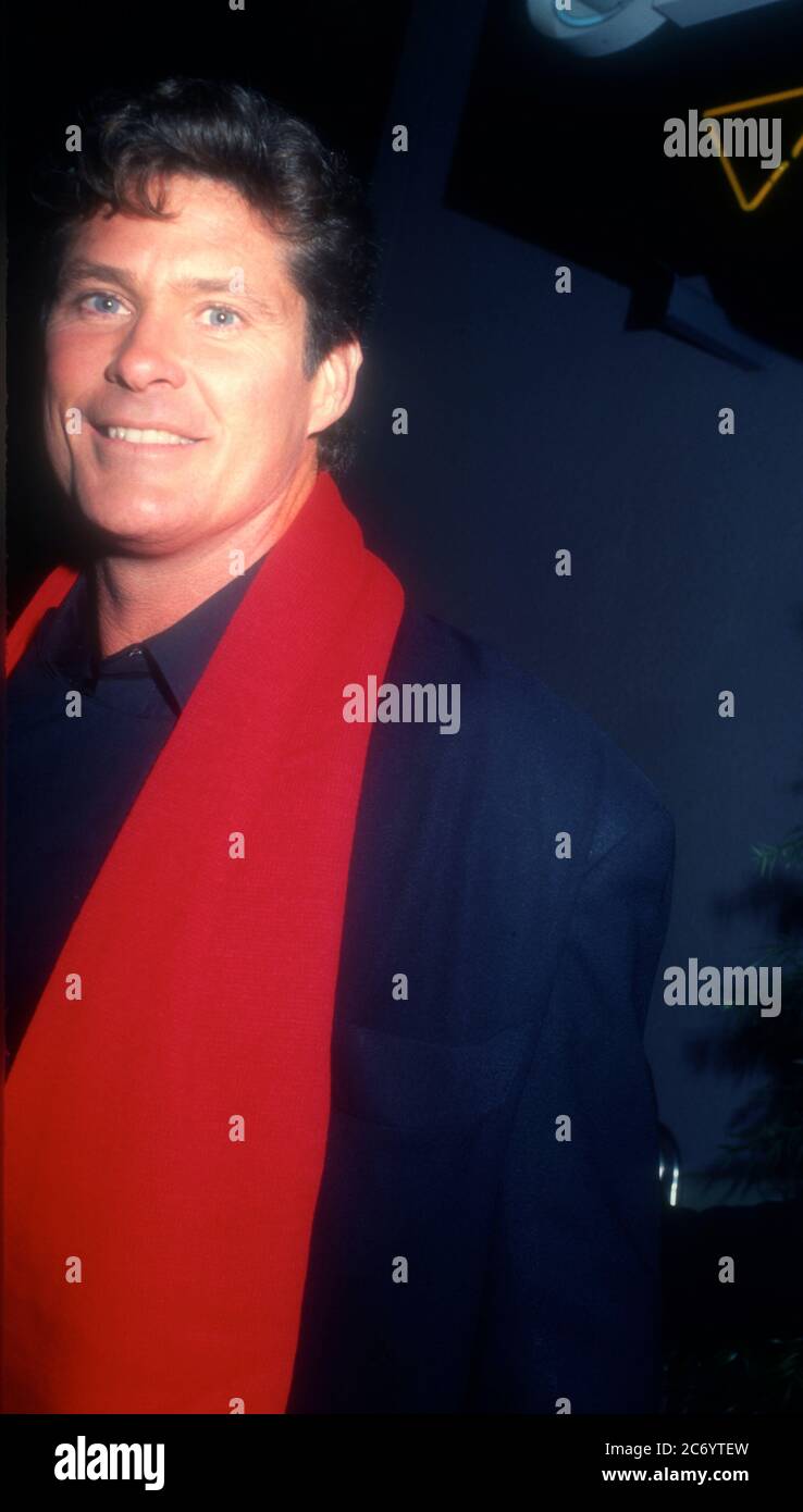 Baywatch cast hi-res stock photography and images - Alamy