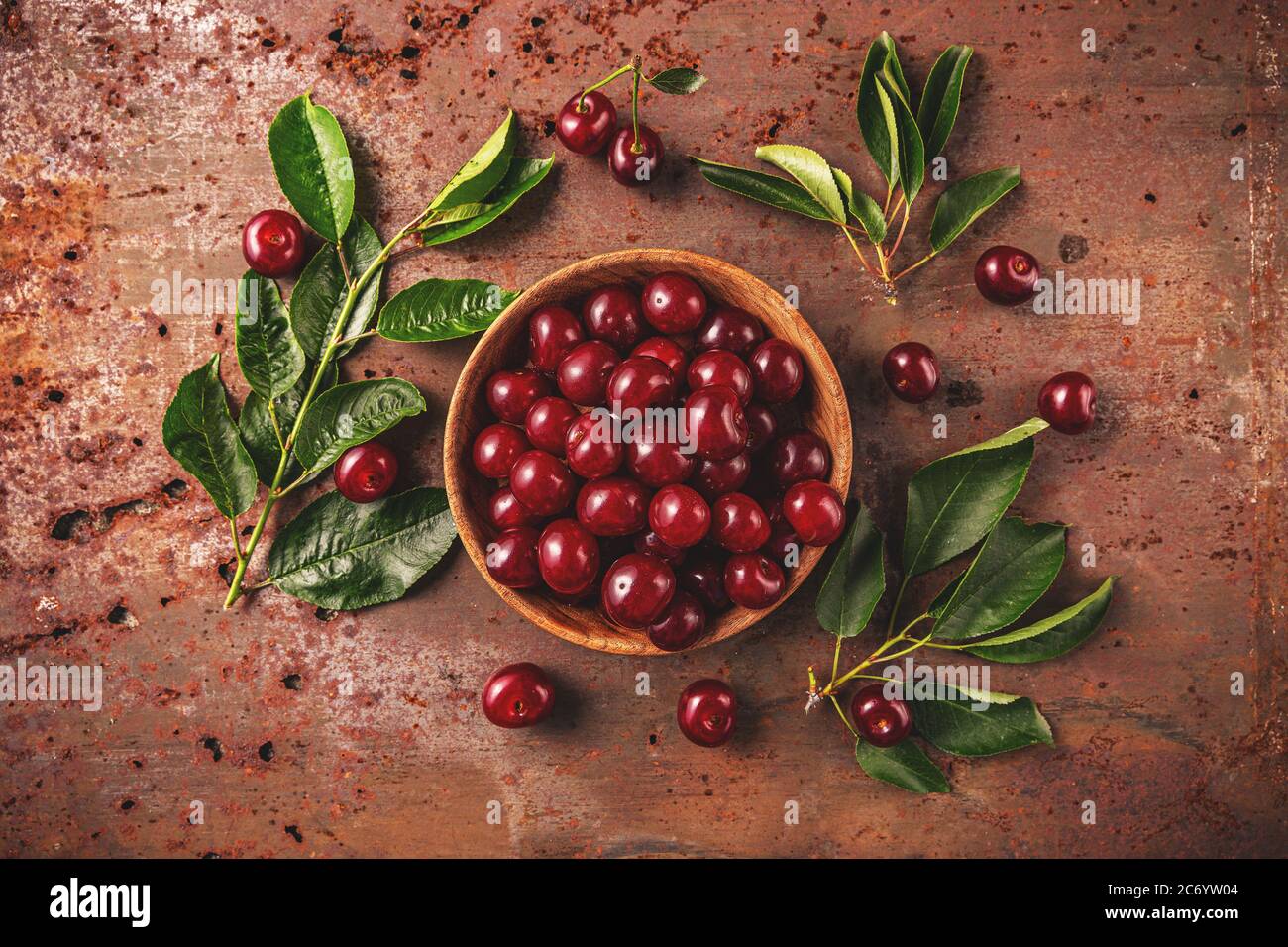 Sour cherry leaf hi-res stock photography and images - Alamy