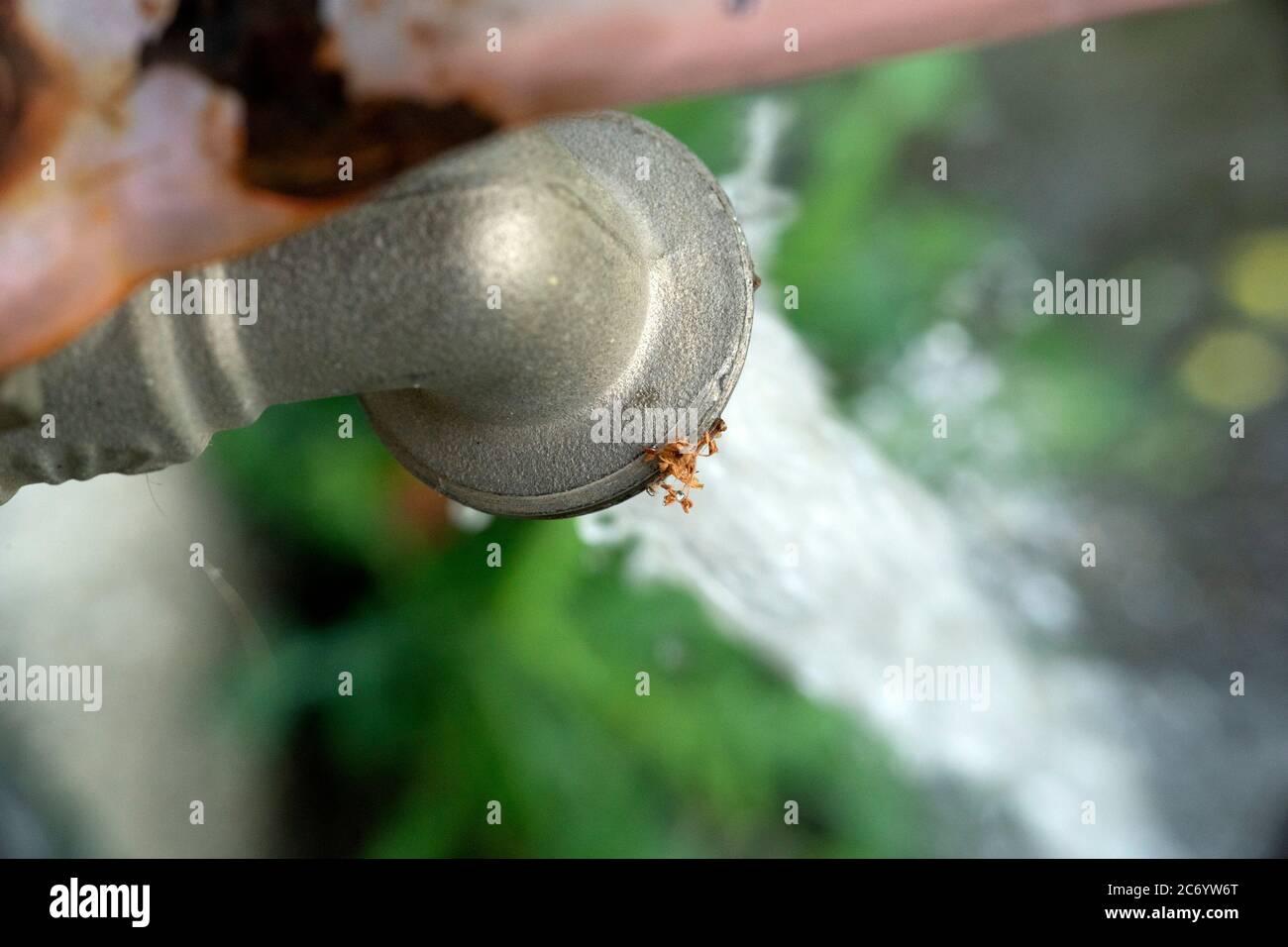 open outdoor water tap spreading macro detail Stock Photo - Alamy