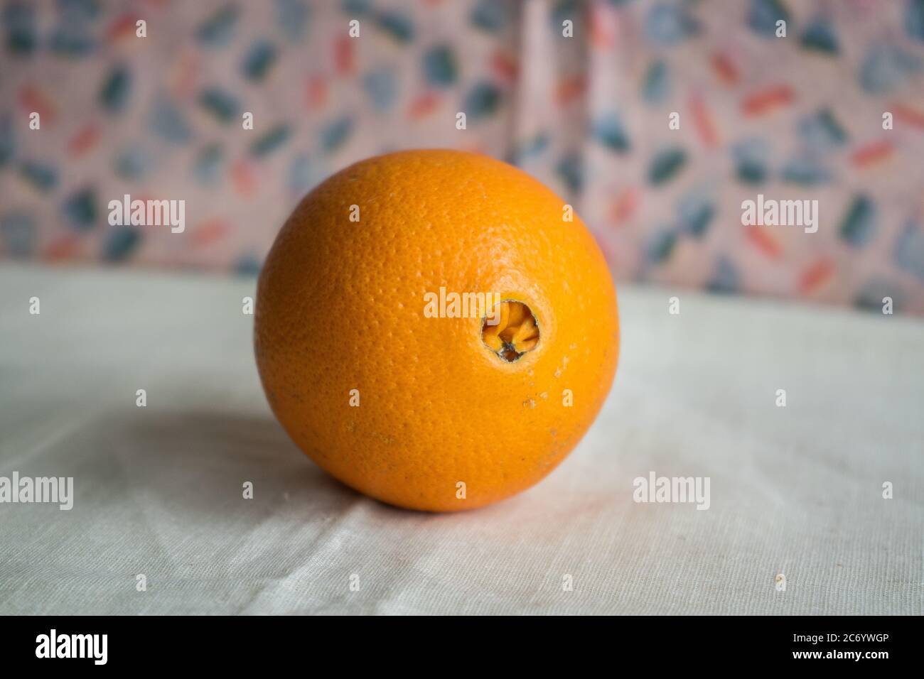 Orange Washington with a belly button on a drapery Stock Photo - Alamy