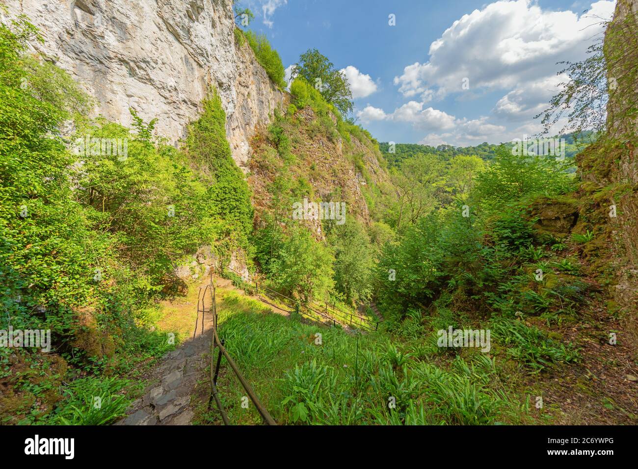 Descending into the valley of the Lesse river in the nature reserve of ...