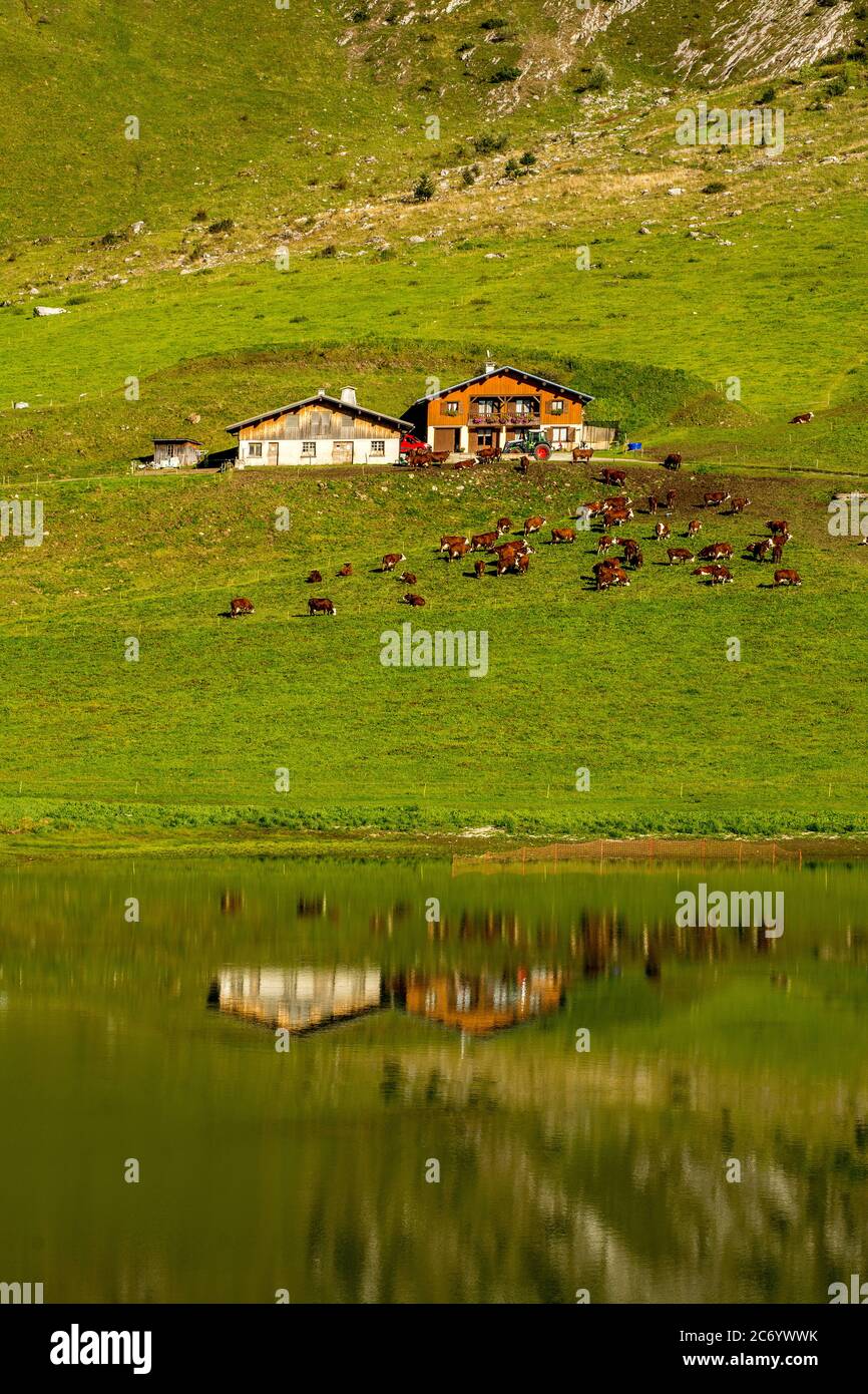 Farm near lake of Confins, Massif of Arvis, La Clusaz, Haute Savoie ...