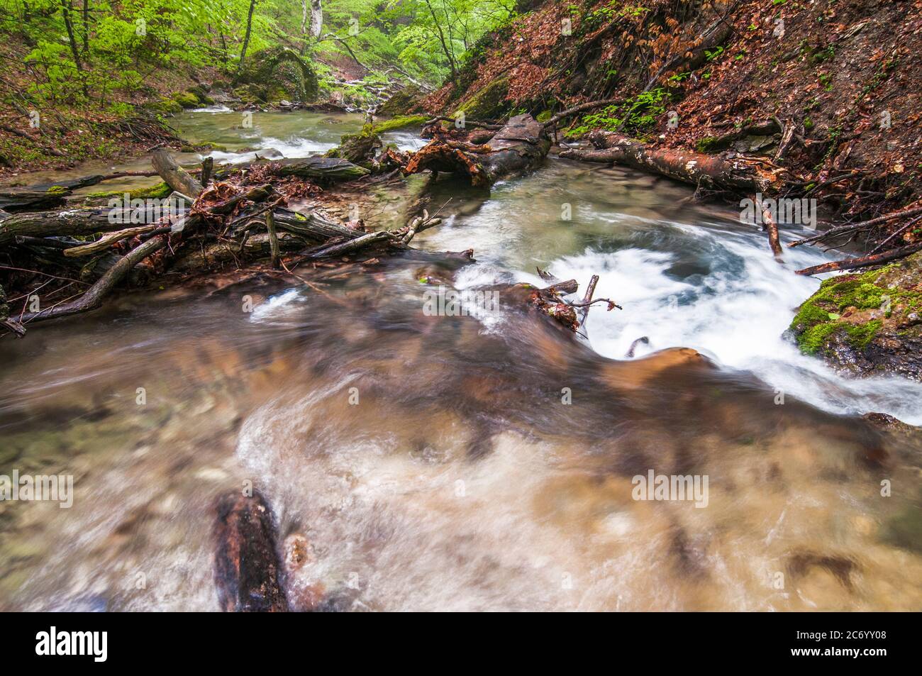 Small mountain waterfall flows over mossy stones and covered with fog ...