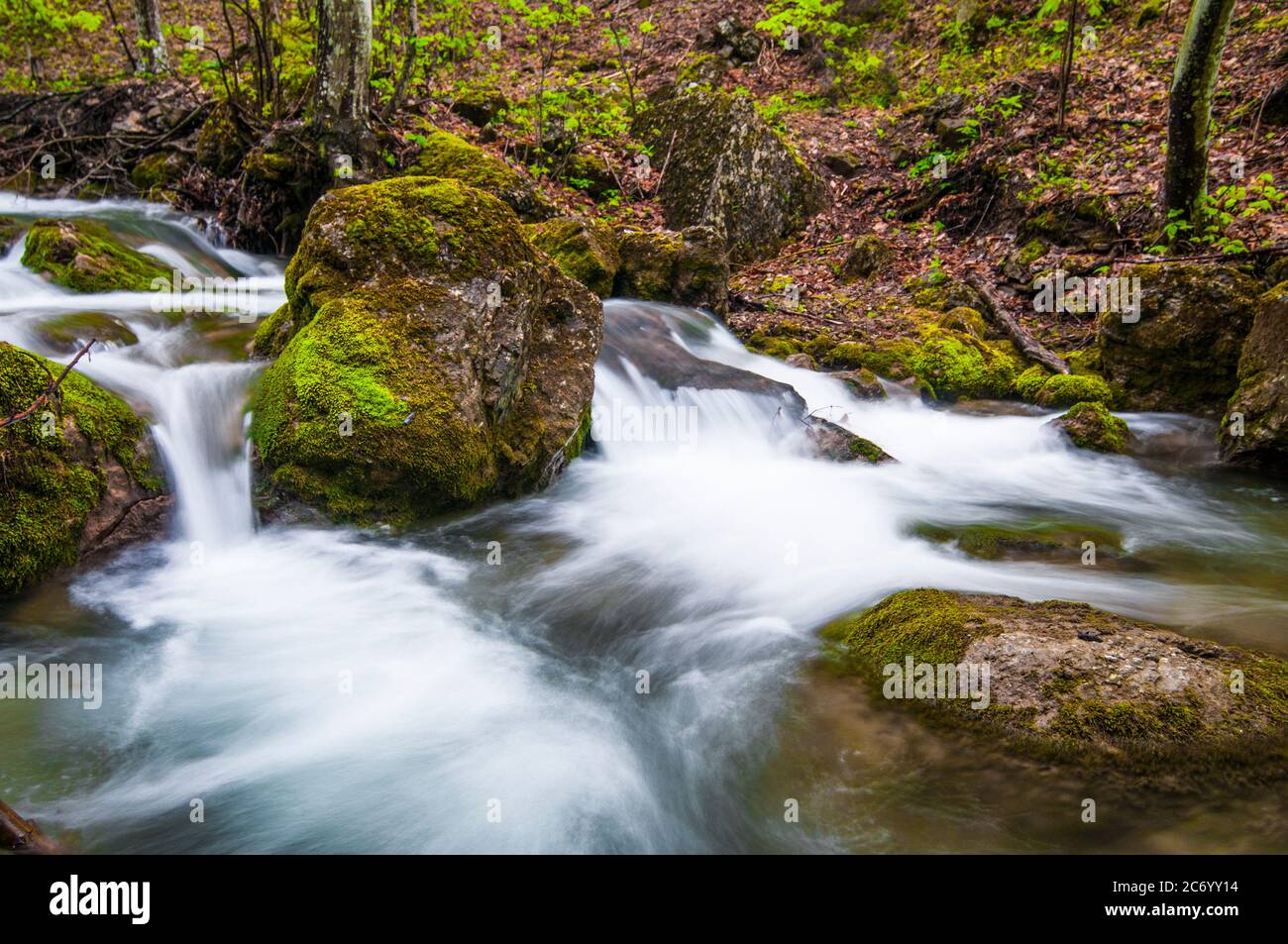 Small stream flows with waterfall and mossy stones around. Fallen tree ...
