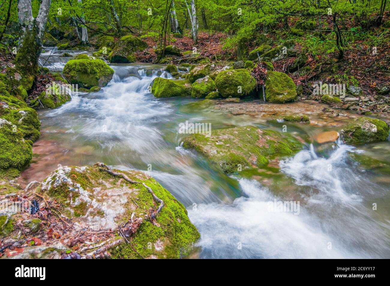 Small stream flows with waterfall and mossy stones around. Fallen tree ...